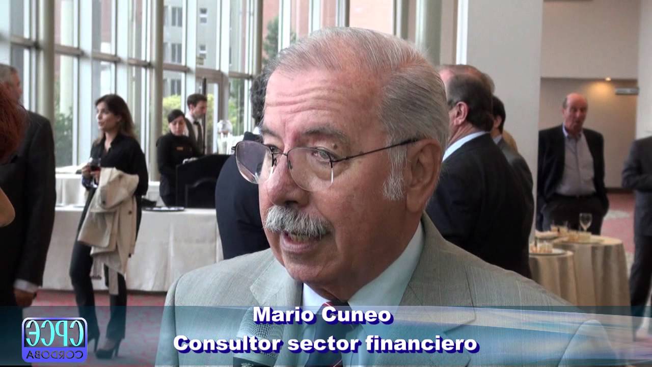 Mario Cuneo (Consultor Sector Financiero) - Sistema financiero ...