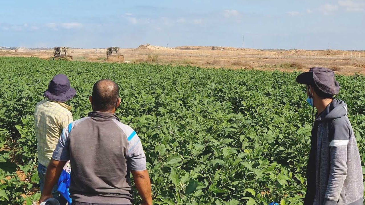 Israel razes Palestinian farmland in Gaza Strip, 13 Oct. 2020 - YouTube