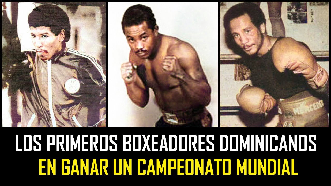 Los 5 Primeros Boxeadores Dominicanos en Ganar un Campeonato Mundial ...