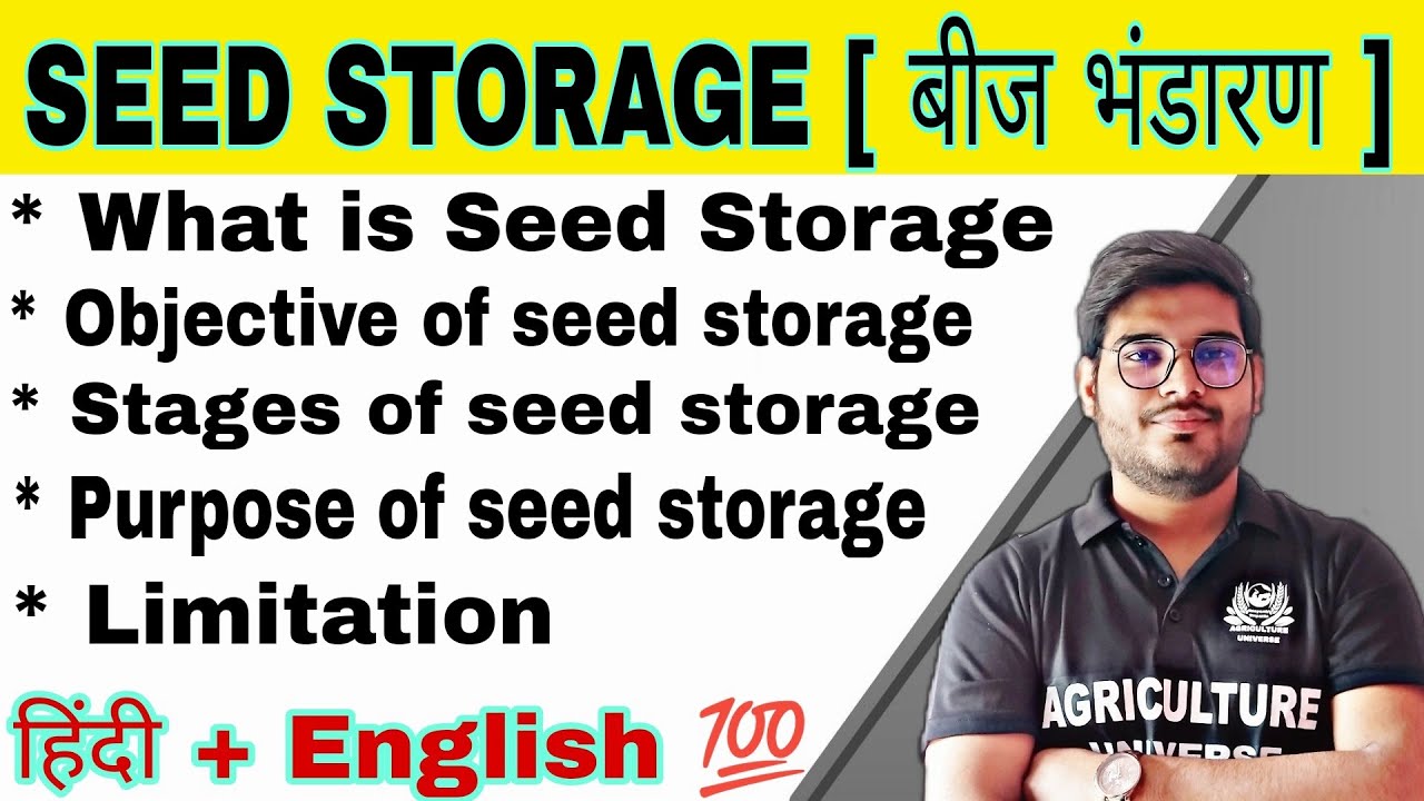 what is Seed storage || बीज भंडारण क्या है || principal of seed ...