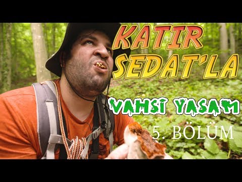 Katır Sedat’la Vahşi Yaşam - Bölüm 5