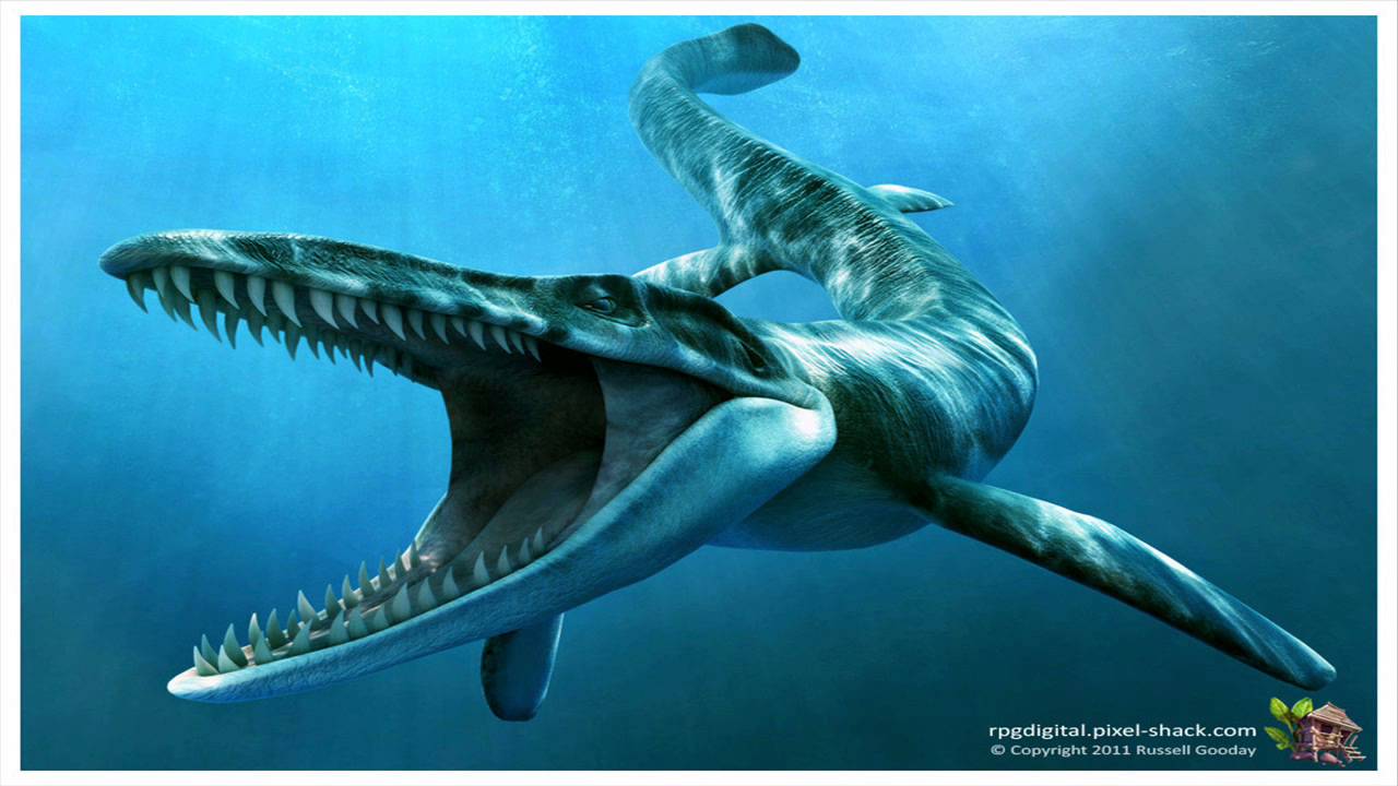 Mosasaur sound effects - YouTube