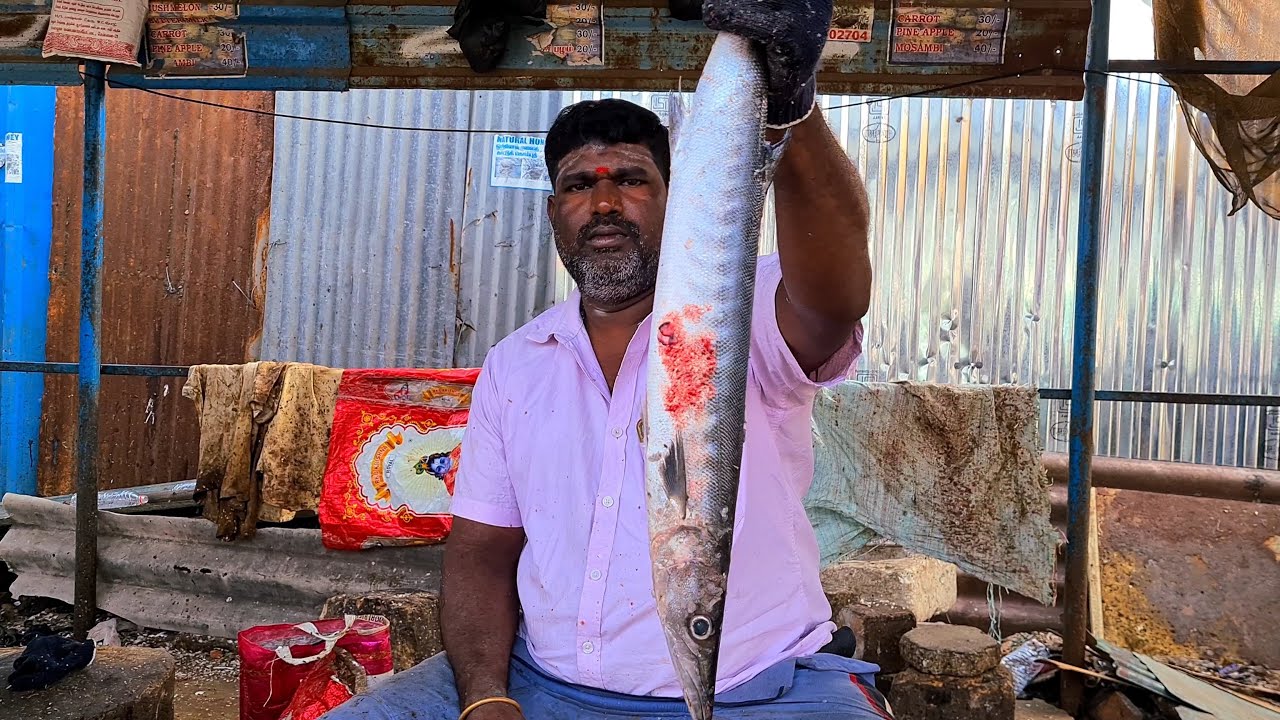 BARRACUDA SEELA FISH CUTTING 🔥 KASIMEDU FISH MARKET #yazhinigokulvlogs ...