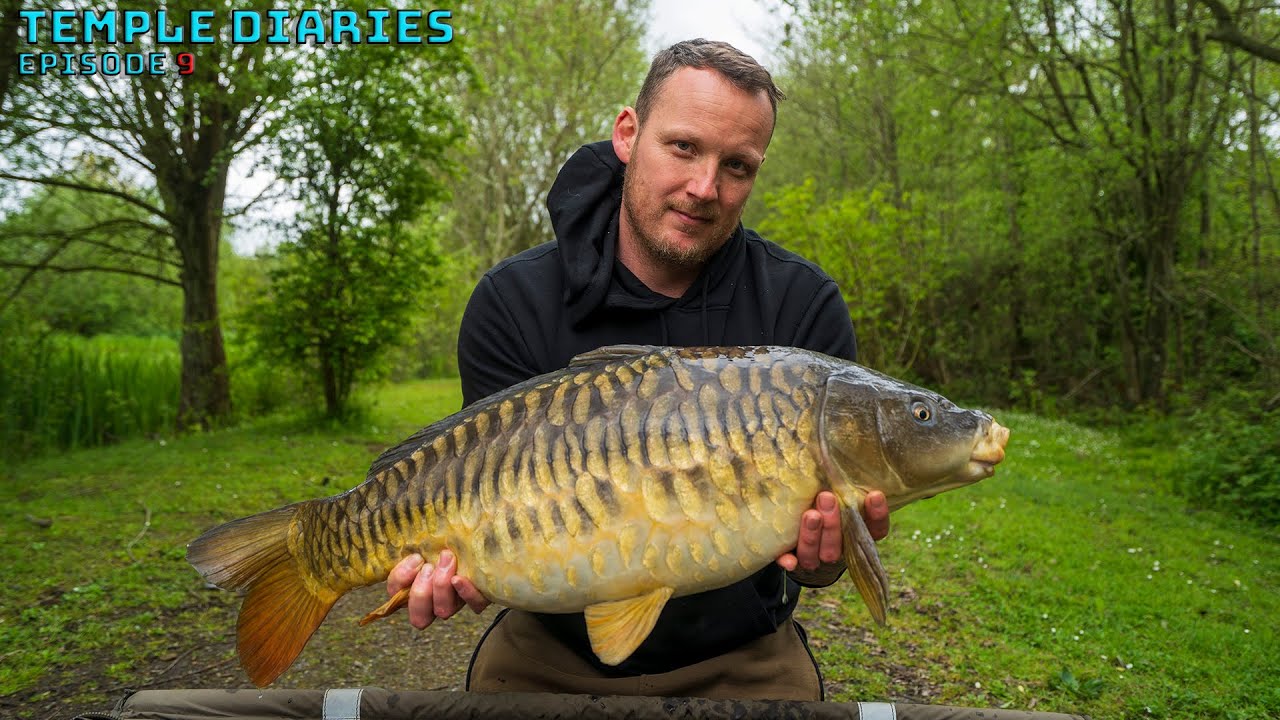 **CARP FISHING** The Road To Catching A 40lb Temple Carp Episode 9 ...