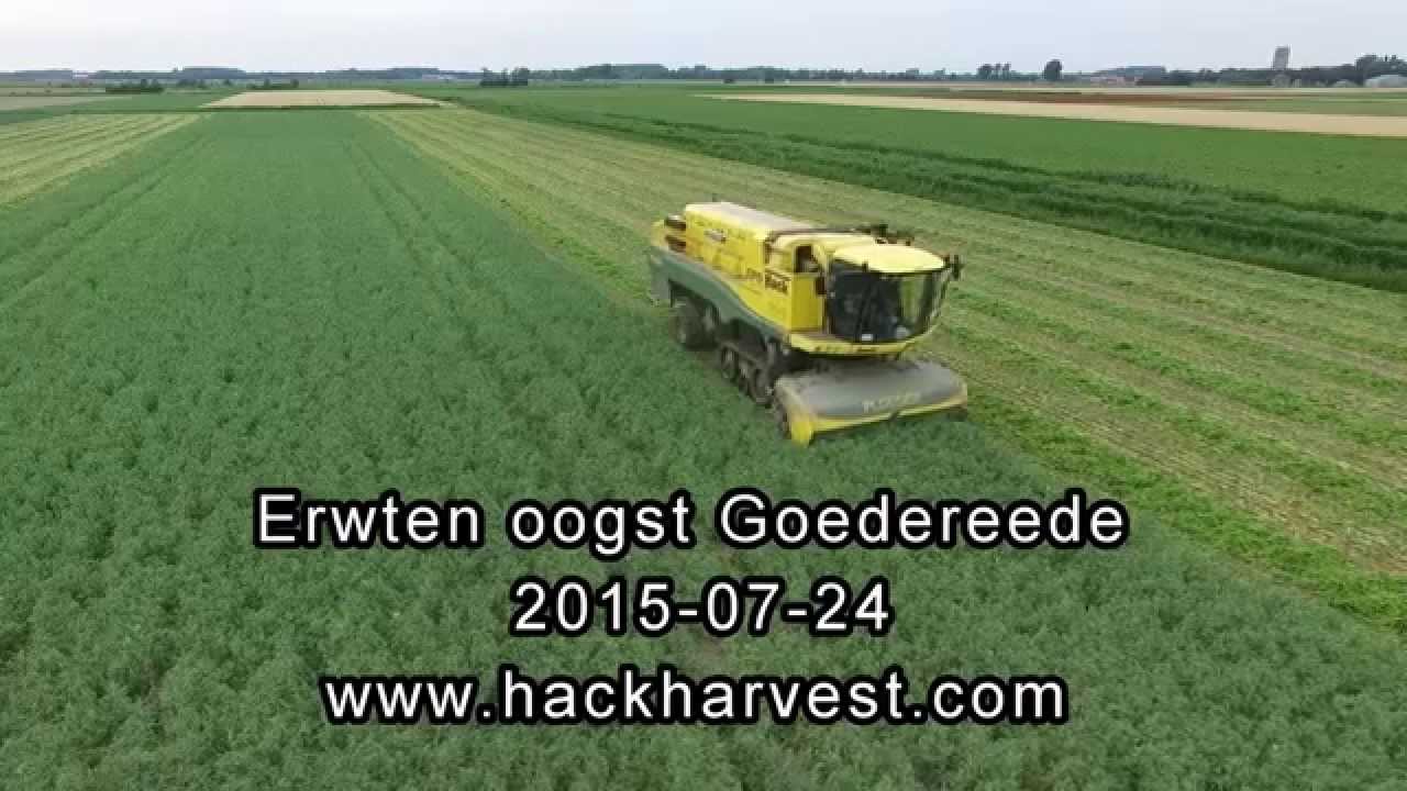 Erwten oogst Goedereede - YouTube