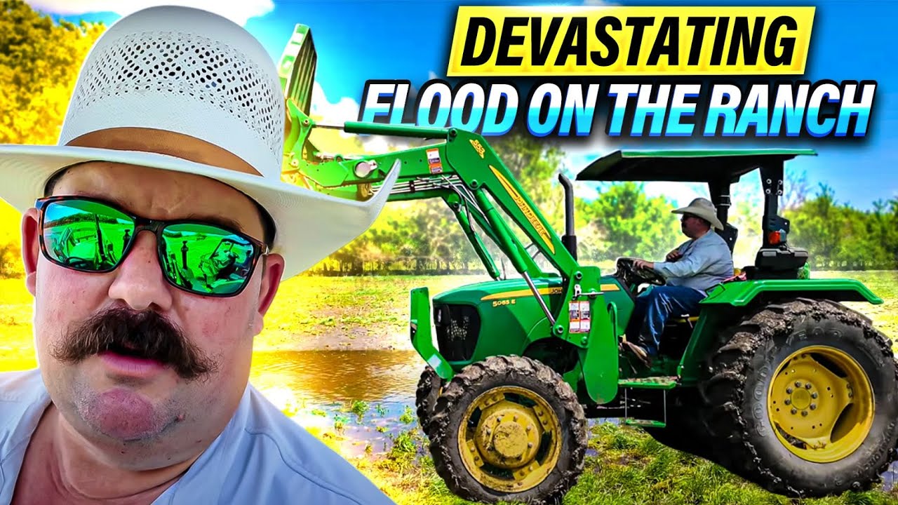 We Lost Farm Animals in This Flood | Bar 7 Ranch - YouTube