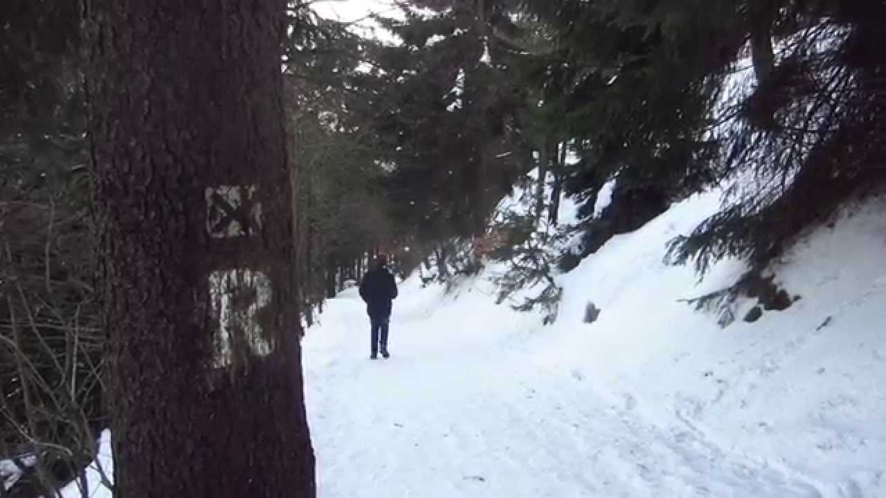 Großer Inselsberg - Rennsteig - Thüringer Wald - 07.03.2015 - YouTube