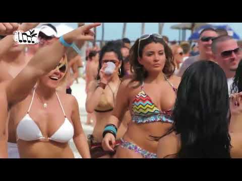 Ultimate Bikini Party