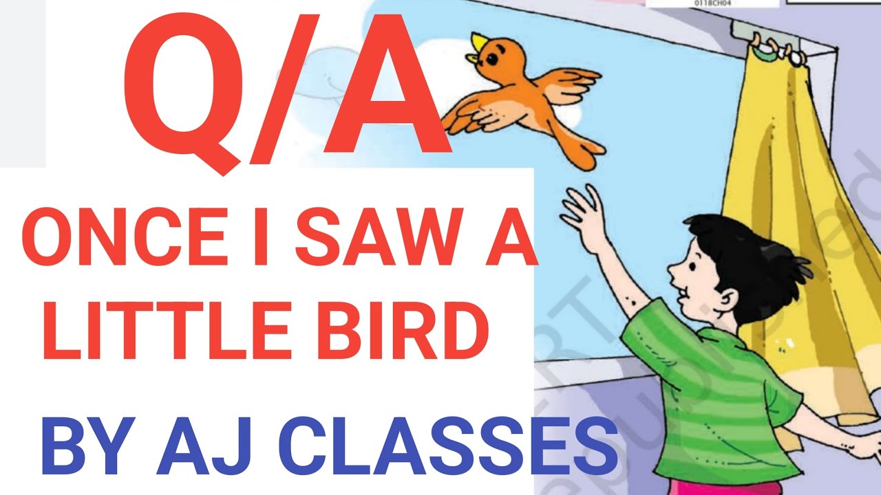 Class-1 | ONCE I SAW A LITTLE BIRD | QUESTIONS ANSWERS | NCERT | BY AJ CLASSES 2882. - YouTube