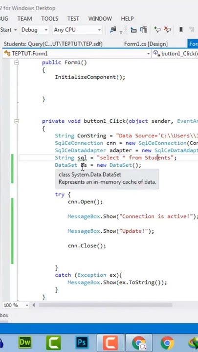 128 - How to create DataView in C# and Retrieve Data in DataGridView ...