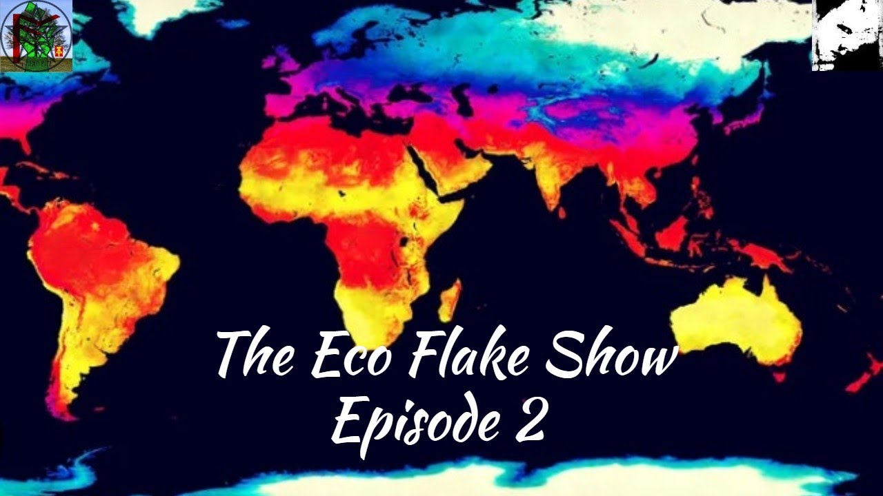 The Eco Flake Show Episode 2 - YouTube