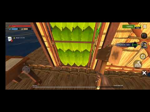El tiburoncin - YouTube