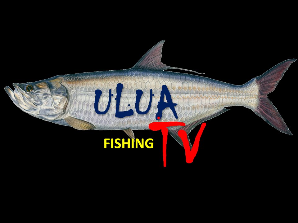 Pesca de macabí - Fishing for ladyfish - Colombia - YouTube