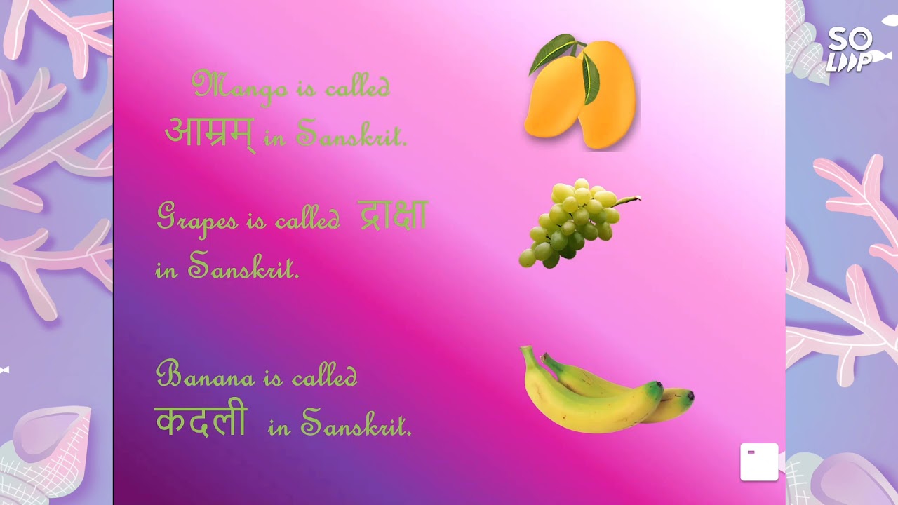 Learn Names Of Fruits In Sanskrit YouTube learn-names-of-fruits-in-sanskrit-youtube