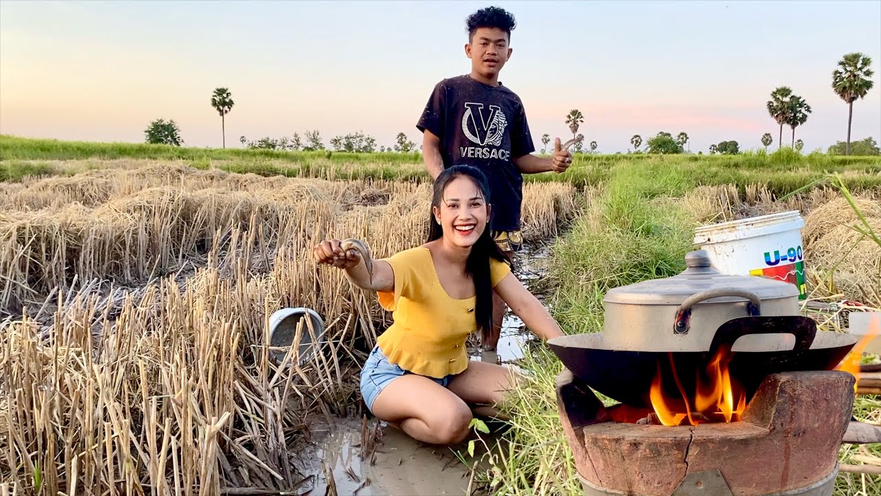 We Caught A Lots Of Fish In The Harvested Rice Field In Dried Season ...