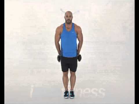 The Best Dumbbell Exercises and Workouts for Your Back