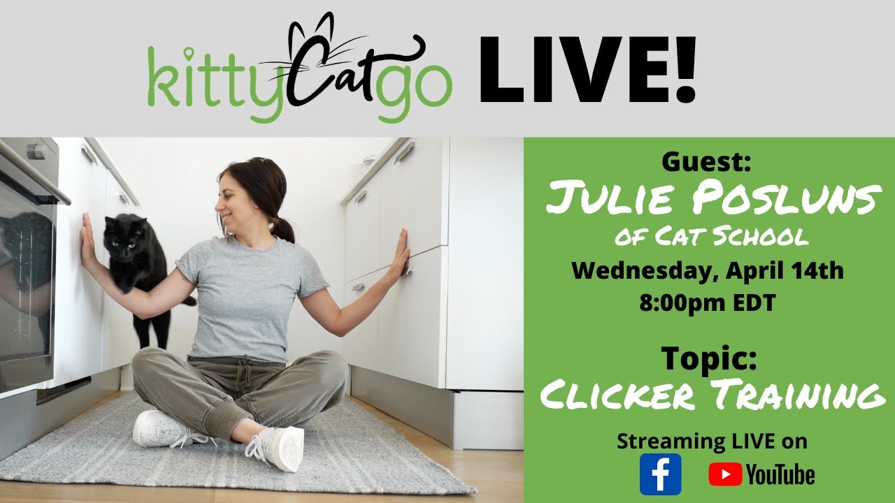 KittyCatGO LIVE with Julie Posluns of Cat School - Clicker Training ...