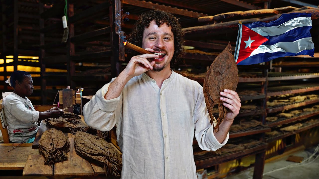 Entré a una fábrica de habanos en CUBA: ¿el mejor tabaco del mundo? 🇨🇺 ...