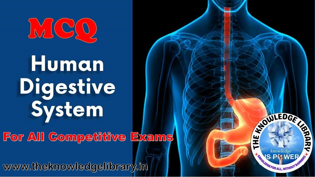 MCQ on Human Digestive System | मानव पाचन तंत्र - QUIZ |Science GK ...