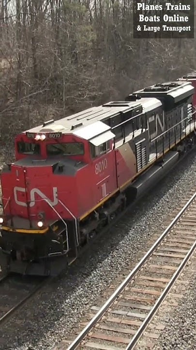 #shorts CN Manifest Train CN 8010 & CN 5798 Locomotives Denfield Rd Bridge London #trains - YouTube