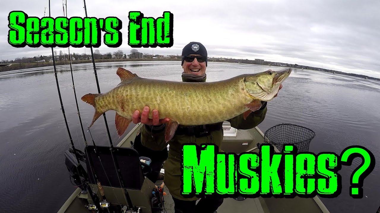 Season's End Muskie Fishing NB Canada 2020-Underwater Views! - YouTube