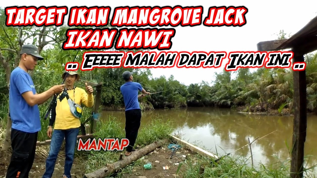 MANCING IKAN MANGROVE JACK/ IKAN NAWI ,,, Eeeee Malah dapat ikan Ini ...
