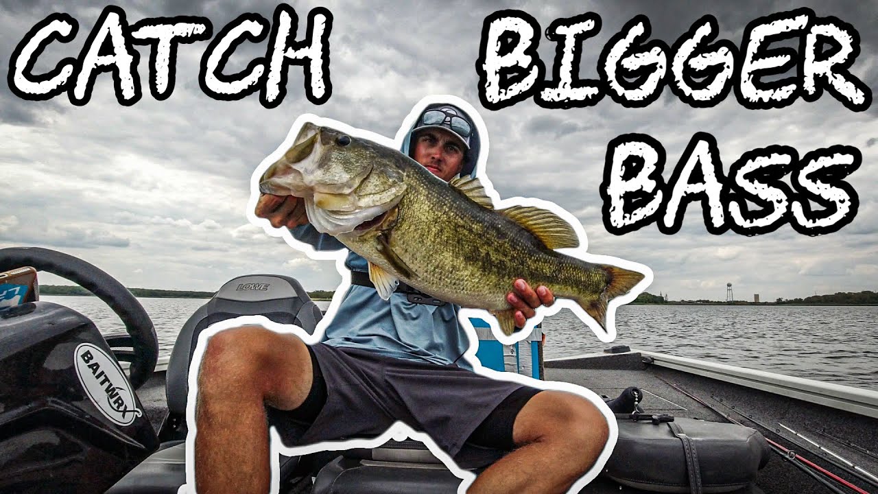 Catch more and BIGGER fish when there's TO MUCH BAIT - YouTube