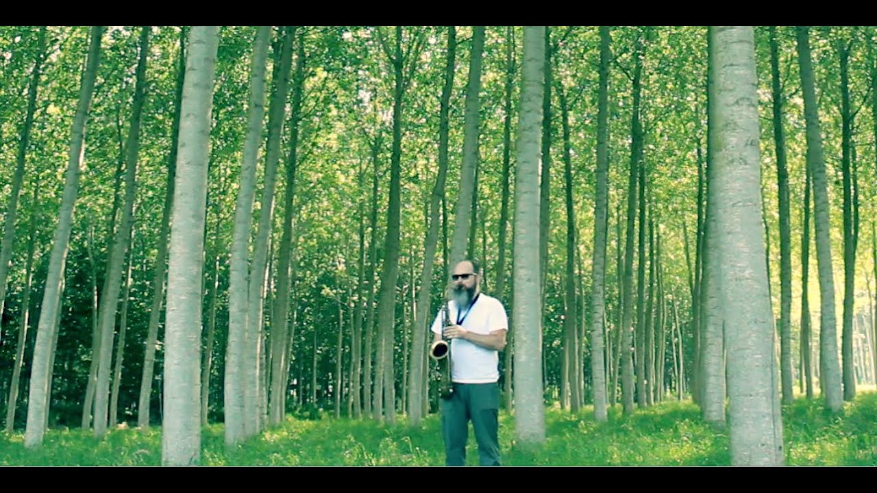Saxophone Acapella with a bird choir... - YouTube