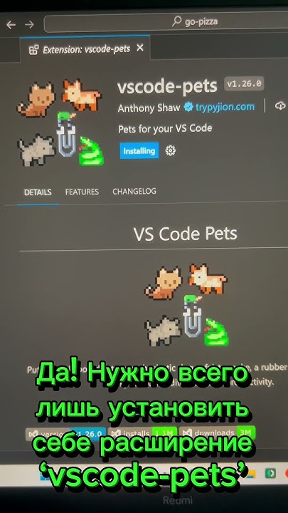 Как завести питомца в Vscode Vscodeextensions Youtube