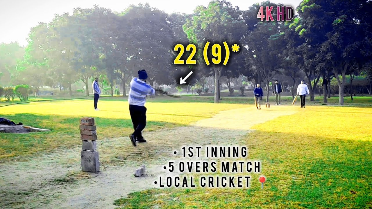 5 OVERS MATCH (1st Inning) | Day 39 CRICKET VIDEO #cricket #bgt # ...