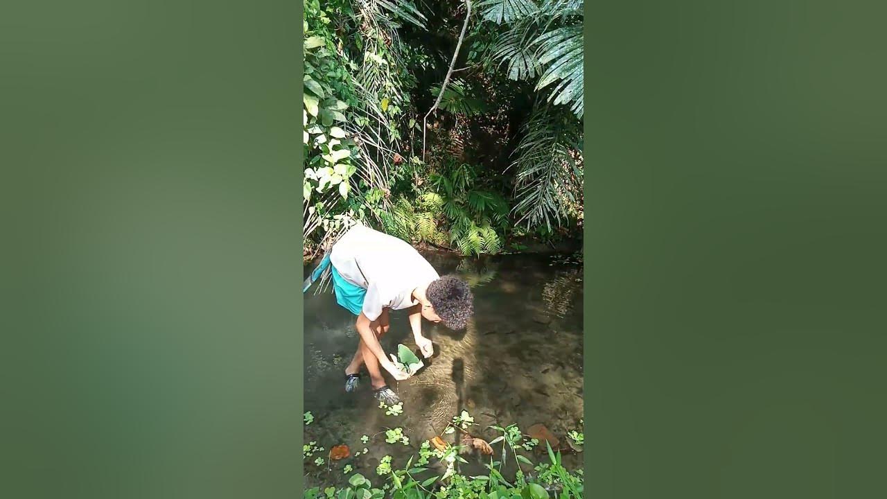 MINI VLOG || NANGUHA AKO NG SUSO AT KUHOL SA SAPA || BUHAY PROBINSYA 🏞️ - YouTube