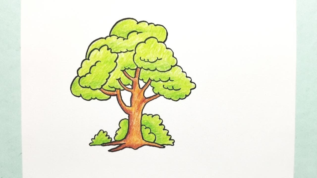 How to Draw Tree Easy - YouTube