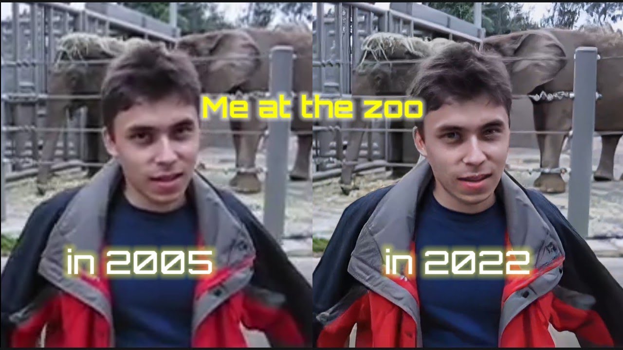 me at the zoo | first ever video on youtube | jawed first youtuber ...