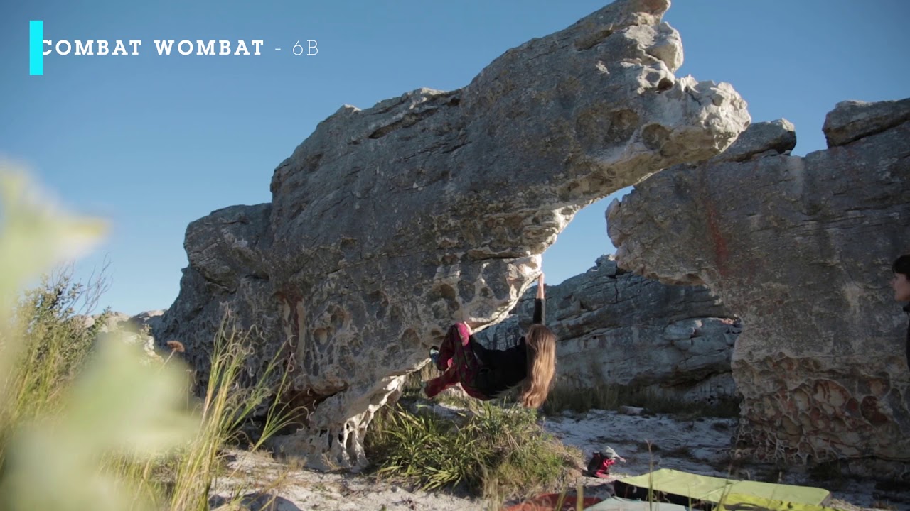 Raccoon Vacuum (6A) + Combat Wombat (6B) - YouTube