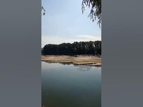 очень много чаек на Днестре. #Днестр #природа #лето #чайки - YouTube