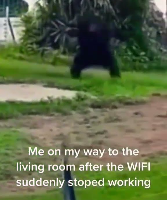 Me on my way to the living room after WiFi suddenly stopped working # ...