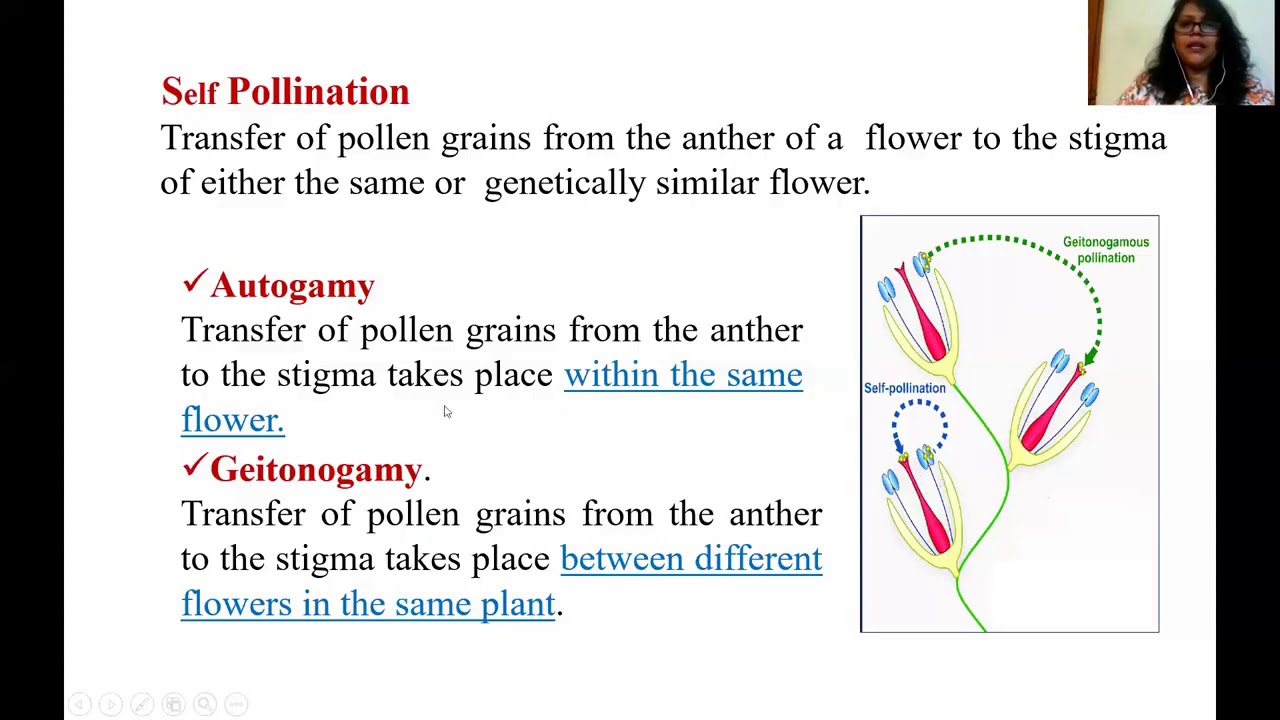 Pollination Mechanism - Self Pollination II Dr. T. Annie Sheron - YouTube