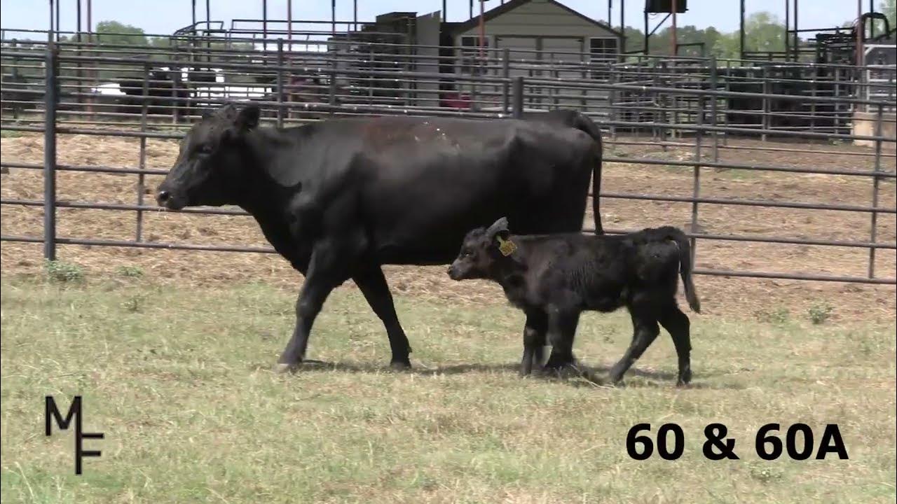 McCloud Farms Lot 60 and 60A - YouTube