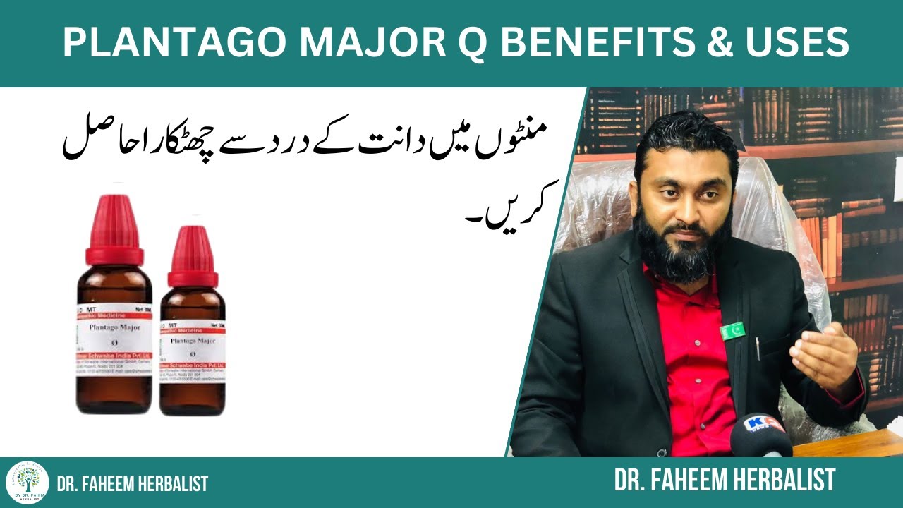 Benefits Of Plantago Major Q | Dr Fahim Herbalist - YouTube
