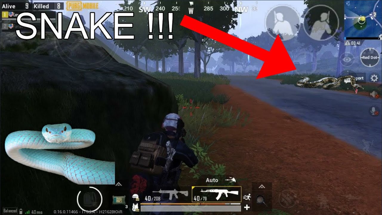 Watch This Video If You Hate Snakes [PUBG MOBILE] - YouTube