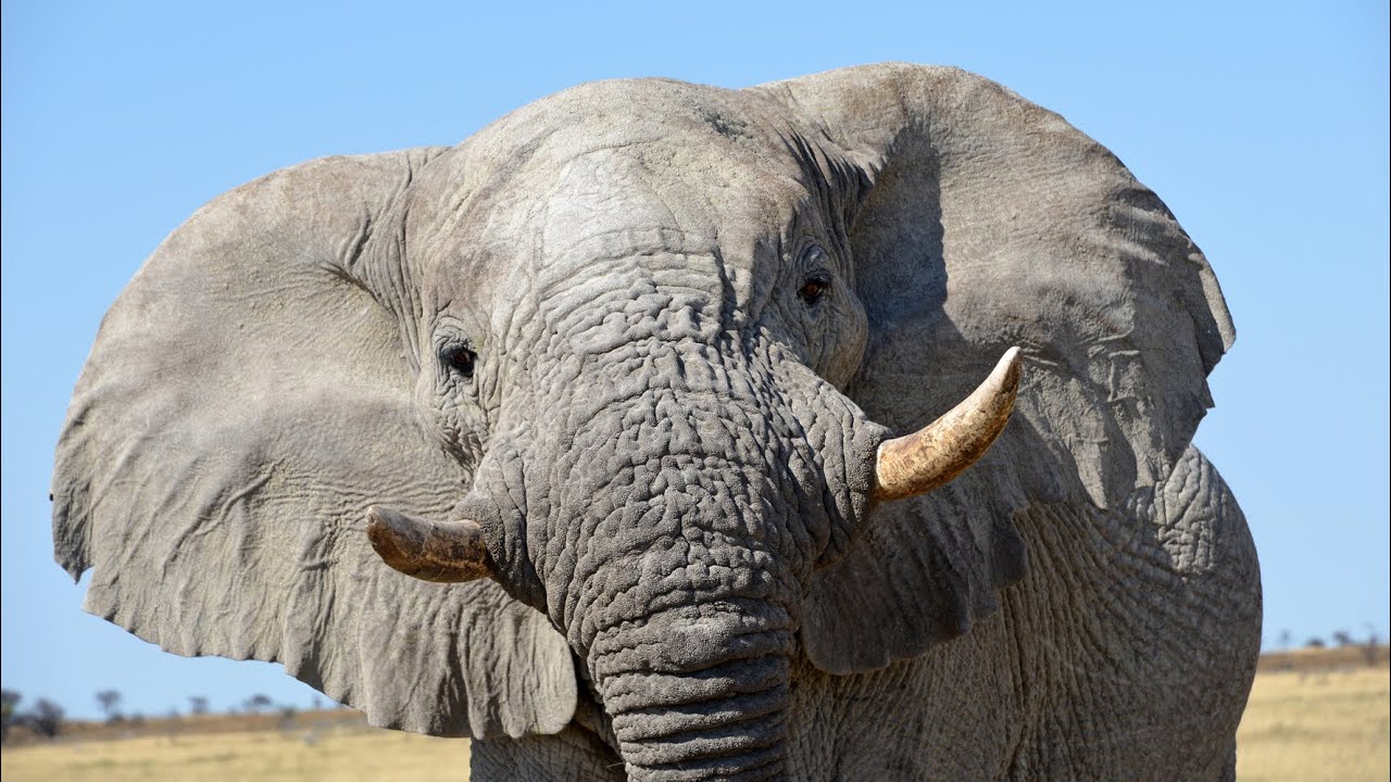 Namibia_2012 - YouTube