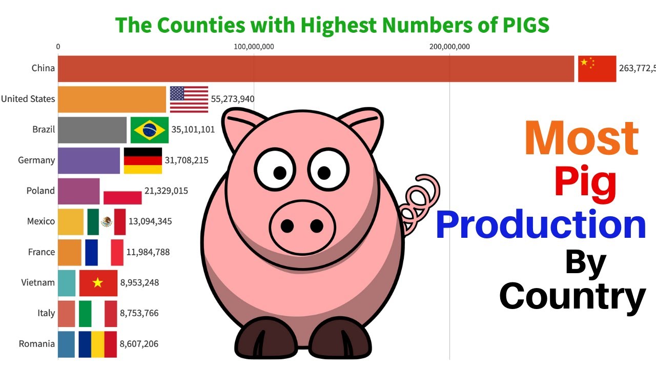 Top 10 Counties by Producing PIGS (1961-2018) - YouTube