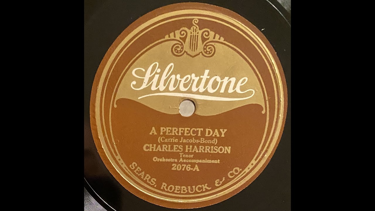 Charles Harrison - A Perfect Day - YouTube