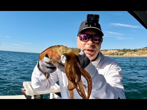 PTP Fishing - Squid fishing - Port Vincent, South Australia - YouTube