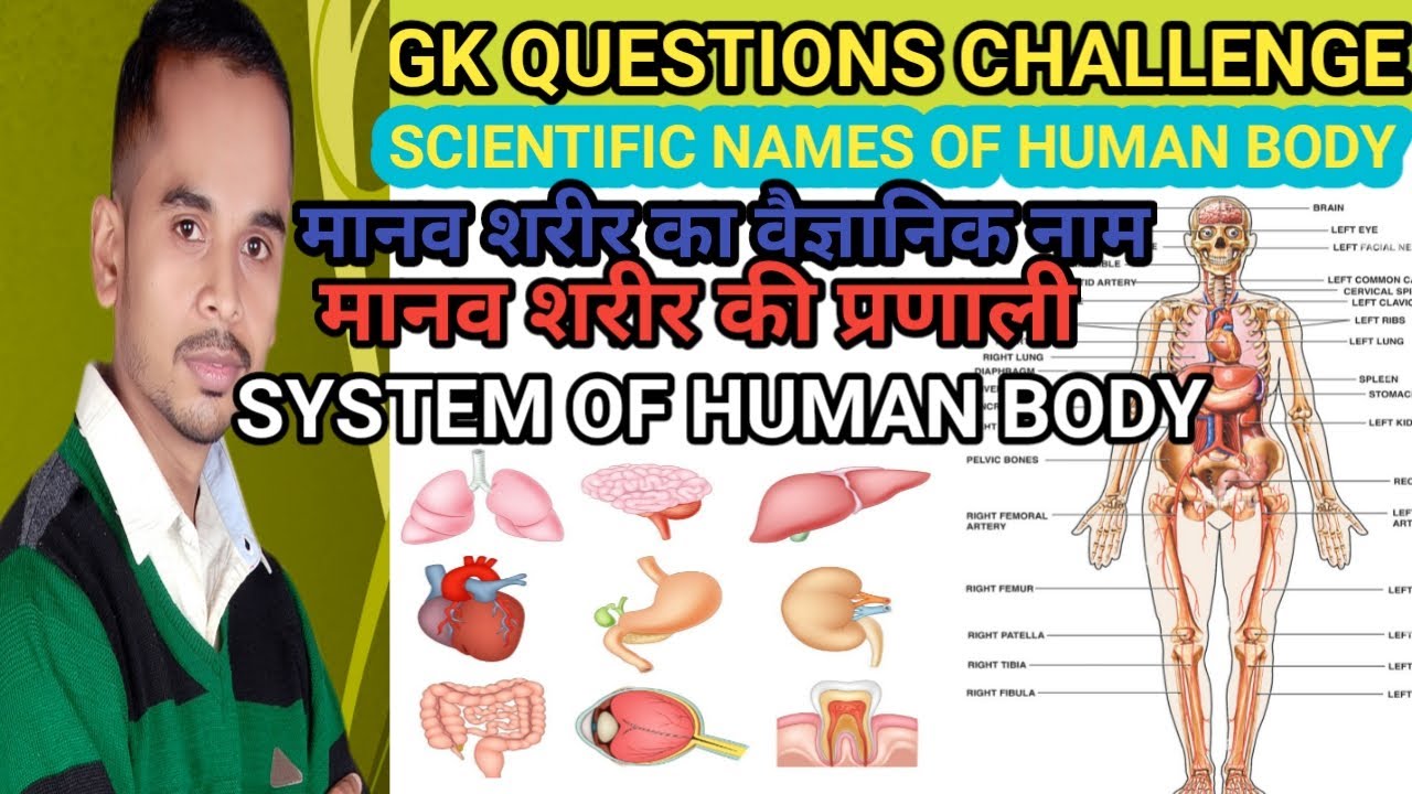 Scientific Names Of Human Organ L L Human scientific-names-of-human-organ-l-l-human