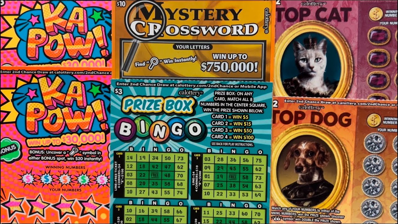 Top Dog/Cat!! Ka Pow!! Mystery Crossword!! Prize Box Bingo!! - YouTube