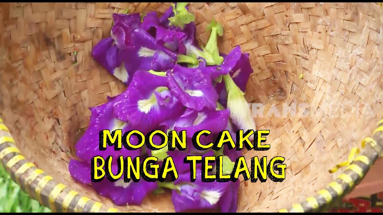 MOON CAKE BUNGA TELANG | JEJAK SI GUNDUL (20/02/20) PART 2 - YouTube