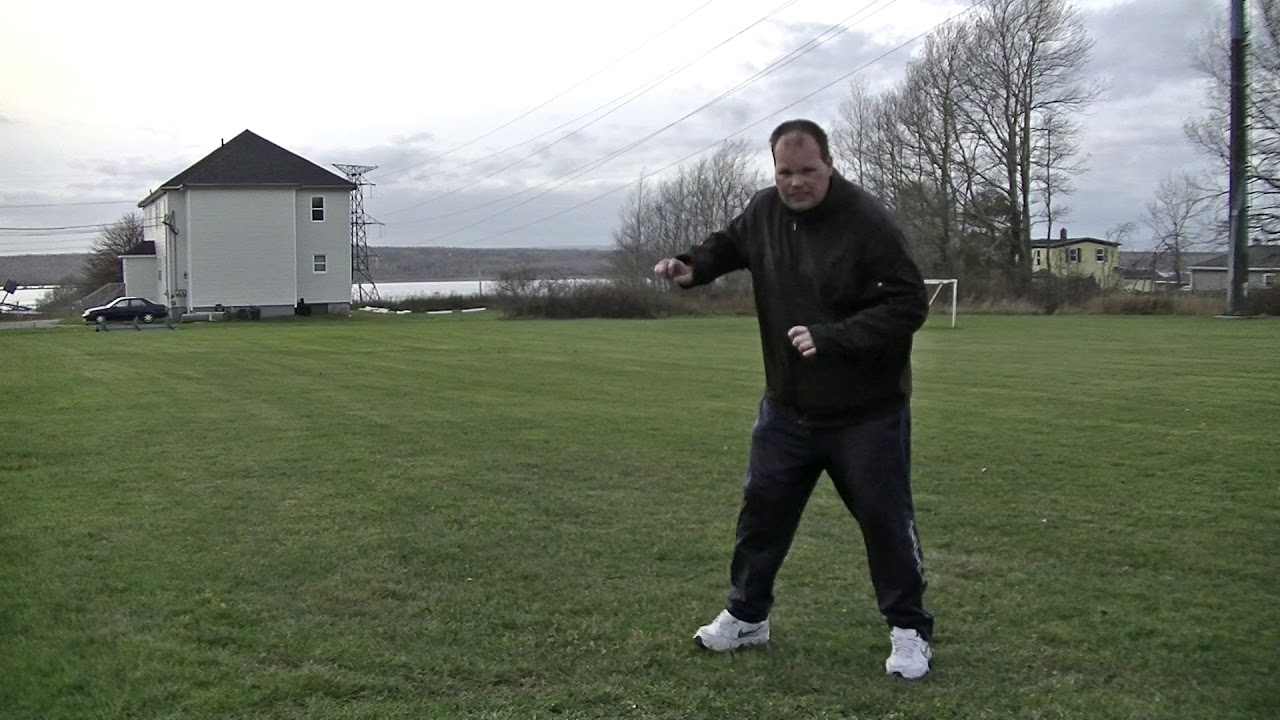 The Guy Dancing Then Being Chased by Wasps - YouTube