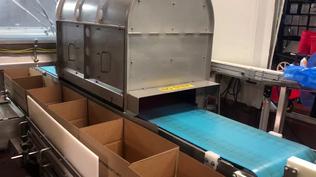 Premier Tech Packaging Line - YouTube
