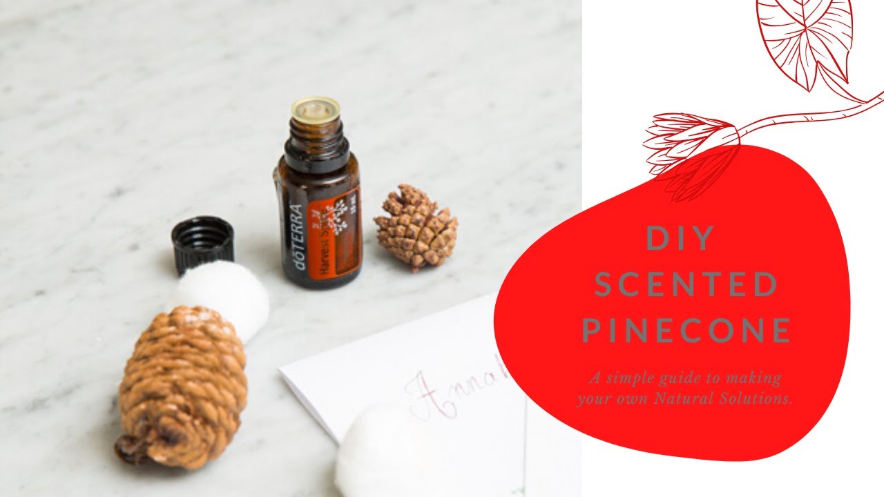 How to Make Scented Pinecone Using Essential Oils | Essential Oil DIY ...